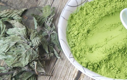 Peppermint Powder at Best Price in Bhavnagar - ID: 4062681 | HERBOLAND ...