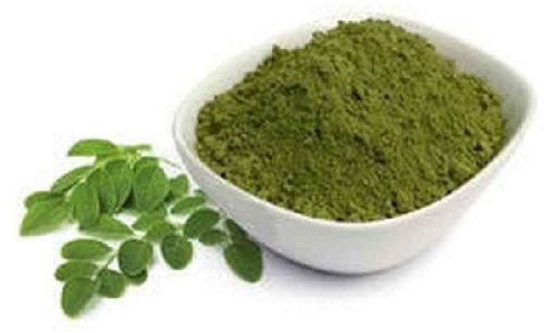 Moringa Oleifera Leaf Dry Extract at Best Price in Valsad - ID: 6034156