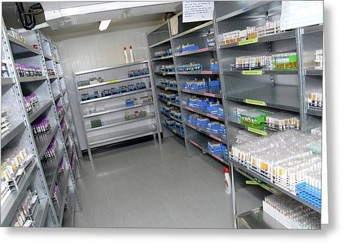 Cold Storage Services For Hospital at Best Price in Bangalore - ID: 6092622