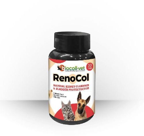 Biocoll Vet RenoCol PET Tablets at Best Price in Delhi - ID: 6091930 ...
