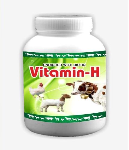 Vitamin-H Powder at Best Price in Saharanpur - ID: 6136079 | Newtech ...