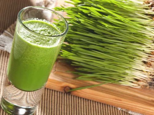 Wheatgrass Juice, For Human Consumption, Certification : FASSI ...