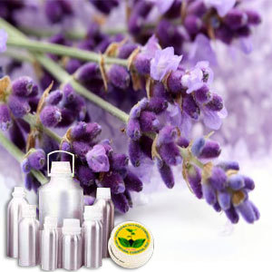Lavender Absolute Oil at Best Price in Kanpur - ID: 3118415 | India ...