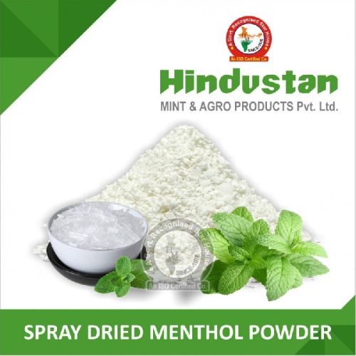 Spray Dried Menthol Powder, Packaging Size : 25 Kg at Best Price in ...