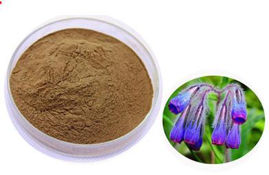 Comfrey Root Extract, Form : Powder at Rs 3200 in Indore - ID: 6198102