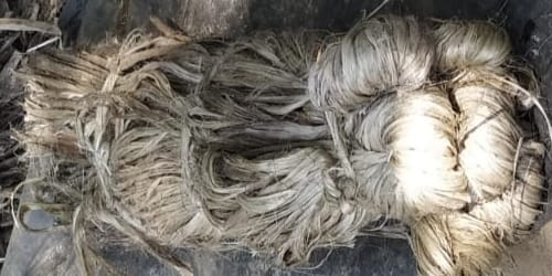 Raw Jute Fiber, Hardness : Soft at Rs 5500 in Dakshin Dinajpur - ID ...