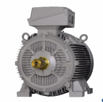 Siemens Three Phase IE3 Foot Mounted Motor at Rs 9693.7 in Mumbai - ID ...