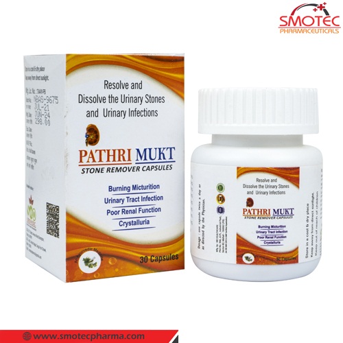 PATHRI MUKT CAPSULE at Best Price in Panchkula - ID: 6520337 | Smotec ...
