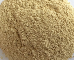 Dehydrated Garlic Powder, Color : Golden Brown at Best Price in Rajkot ...