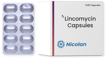 Lincomycin Capsules, Packaging Type : Alu Alu at Best Price in Navi ...