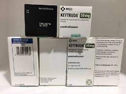 India Keytruda 50 Mg Injection For Body at Rs 120000 in Mumbai - ID ...