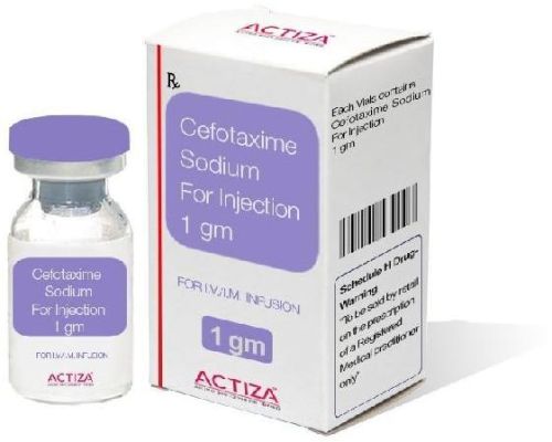 Cefotaxime Sodium Injection at Best Price in Surat - ID: 6485787 ...