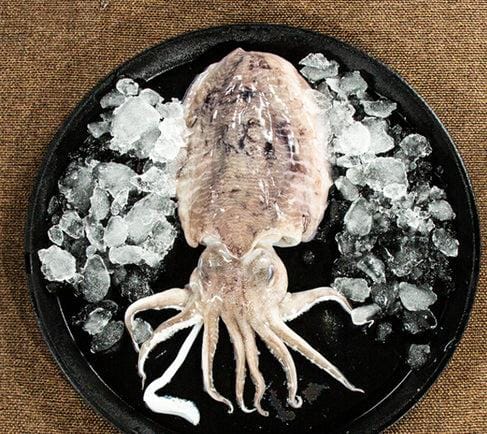 Fresh Octopus, For Cooking, Food, Human Consumption, Feature : Good ...