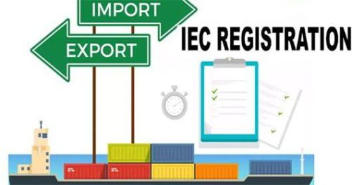 Import Export Code Registration at Best Price in Jalandhar - ID: 6794487