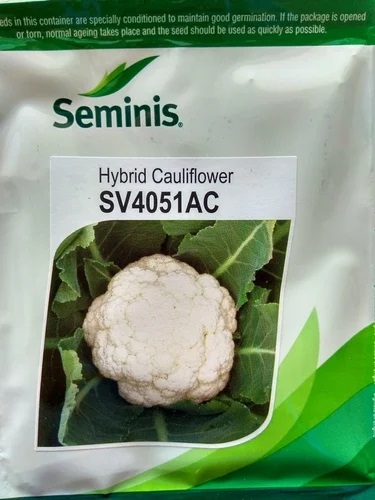 Seminis Cauliflower Seeds, Packaging Size : 10 GM at Rs 380 in ...