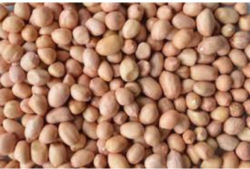 Natural Java Organic Raw Peanuts, For Direct Consumption, Home ...