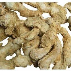 Natural Dried Ginger, Color : Light Brown at Rs 280 in Idukki - ID: 6899826