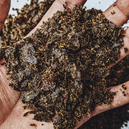 Sanjeevani Expeller Black Mustard Cake at Rs 30 in Jaunpur - ID: 6931569