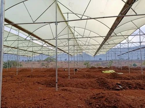 PVC Open Ventilated Polyhouse, For Agriculture, Feature : Durable, Heat ...