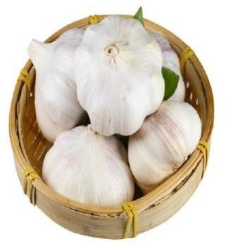 Organic Fresh Garlic, Color : White at Rs 50 in Thane - ID: 6867470 ...