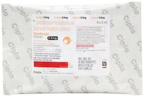 Budesal Respules, Form : Liquid at Rs 220 in Mumbai - ID: 6942571 ...