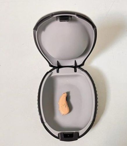 Signia Pure Primax 3px Ric Hearing Aids at Rs 44990 in Noida - ID: 6940754