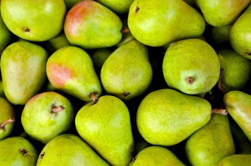 Natural Fresh Green Pear, Packaging Size : 10Kg for Human Consumption ...