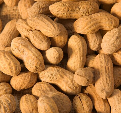 Creamy Natural Ground Nuts, For Cooking, Human Consumption, Taste ...