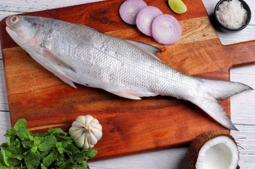 Fresh Premium Indian Salmon Whole Fish (Rawas) at Best Price in Goa ...