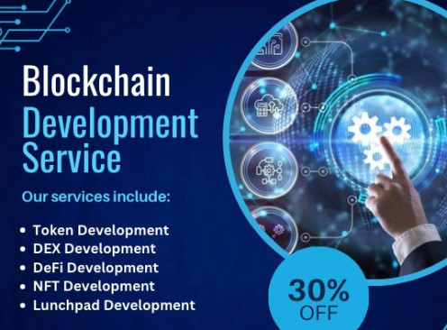 Blockchain Development Services at Rs 249000 in Jaipur - ID: 7358924 ...