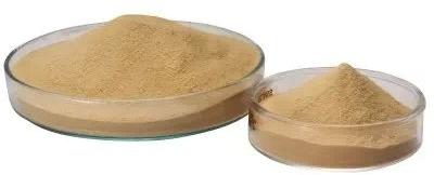 Yeszyme Fungal Diastase Pepsin Powder, Packaging Type : Bag at Best ...