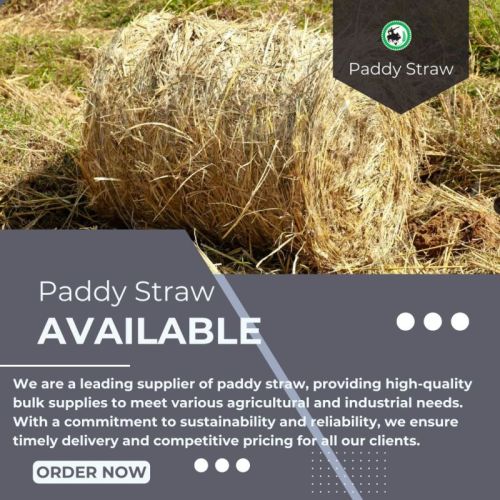 Paddy Straws, Form : Pellets at Best Price in Bangalore - ID: 7542200 ...