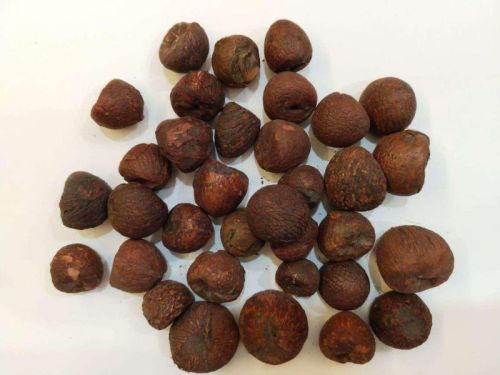 Gota Red Supari For Human Consuption at Rs 300 in Guwahati - ID: 7539350