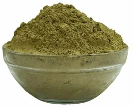 Kalmegh Powder, Color : Dark-green at Rs 40 in Indore - ID: 7557046 ...