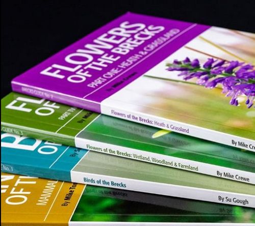 A4 Size Matte Paper Books at Rs 25 in Chennai - ID: 7565541 | NANA ...