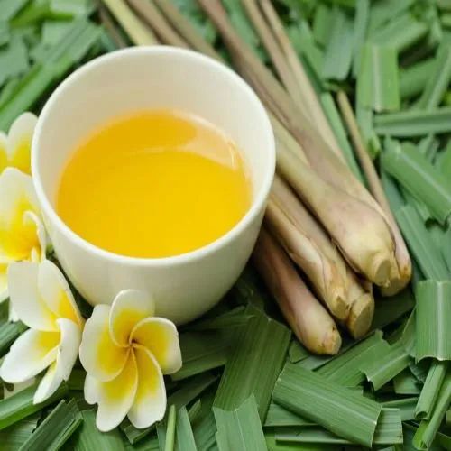 Natural Citronella Oil (Java) For Nutra/Food Application at Best Price ...