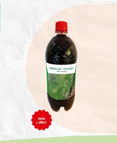 Xpertlac Cystoff Probiotic at Rs 500 in Dehradun - ID: 7599070 | LACTIX ...