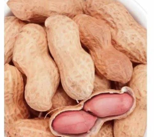 Natural Raw Peanut, Color : Brownish, Form : Kernels For Human ...