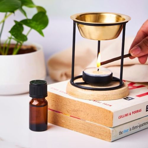 Daylight Handicrafts Aroma Fume Exotic Brass Oil Diffuser at Rs 180 in ...