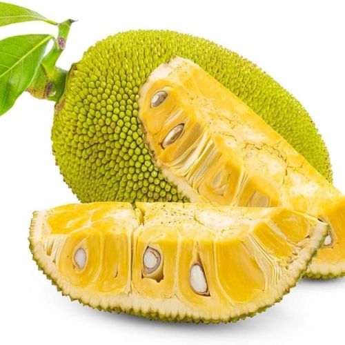 Fresh Jackfruit, Color : Green at Best Price in Ranchi - ID: 7815869 ...