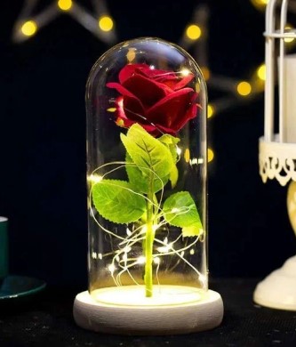 U Glass Doom, Color : Transparent at Rs 90 in Firozabad - ID: 7810277 ...