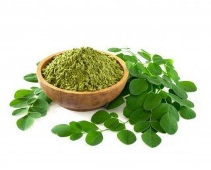 Girme's Organic Moringa Oleifera, Color : Green, Form : Whole at Rs 200 ...