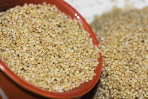 Organic Millet, Color : Brown, Grade : Feed Grade at Rs 50 in Chennai ...