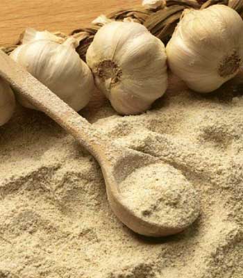 Blended Dehydrated Garlic Powder, Color : Brownish at Best Price in ...