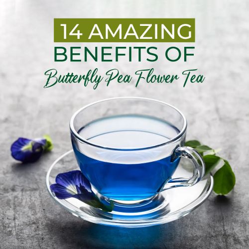 Natural Dried Butterfly Pea Flower, Color : Blue at Rs 1500 in Pune ...