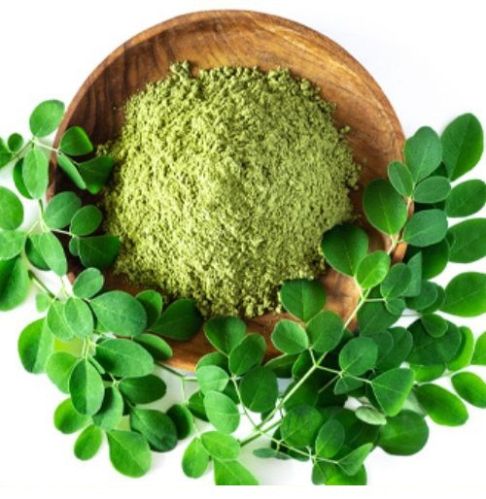 Moringa Oleifera Extract at Best Price in Nainital - ID: 7938748 ...
