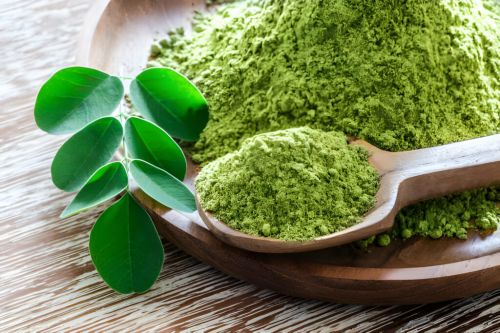Moringa Powder, Color : Green at Best Price in Surat - ID: 7928105 ...