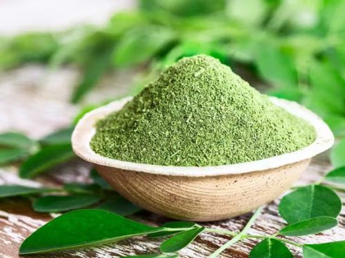 Moringa Powder, Color : Green at Best Price in Ahilya Nagar - ID: 7960272