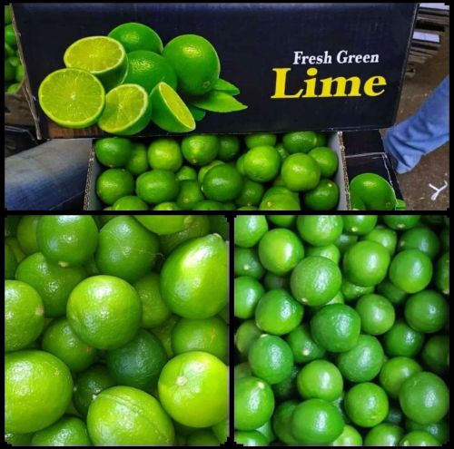 Green Lemon Fresh at Best Price in Nashik - ID: 7966903 | Hybite Foods