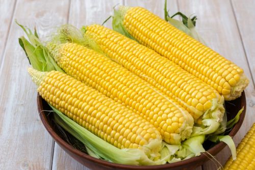 Maize, Color : Yellow, Packaging Type : Bulk Bags at Best Price in ...